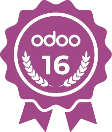 erp-odoo | Origami Sofware